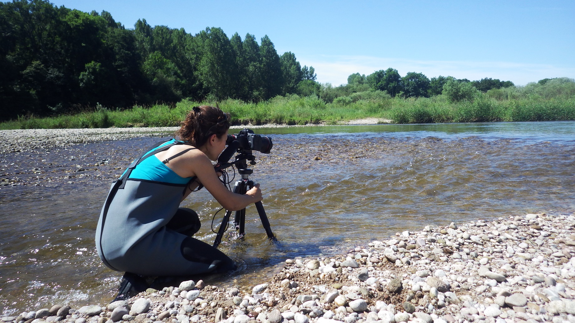 Vidéos - Fédération de pêche de Meurthe-et-Moselle